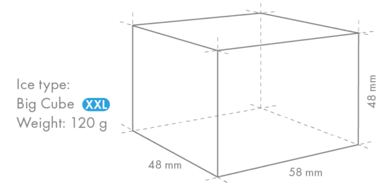 Hoshizaki IM-55M-2-LM Big Cube Ice Maker – Compact & Clean